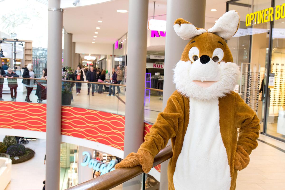 Sophienhof 2017 – Das sind die Highlights! | KIELerleben